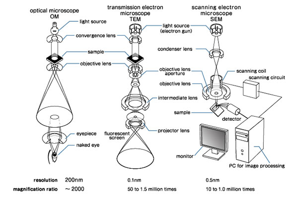 Acceleration Voltage Affects SEM | Tech | Matsusada Precision