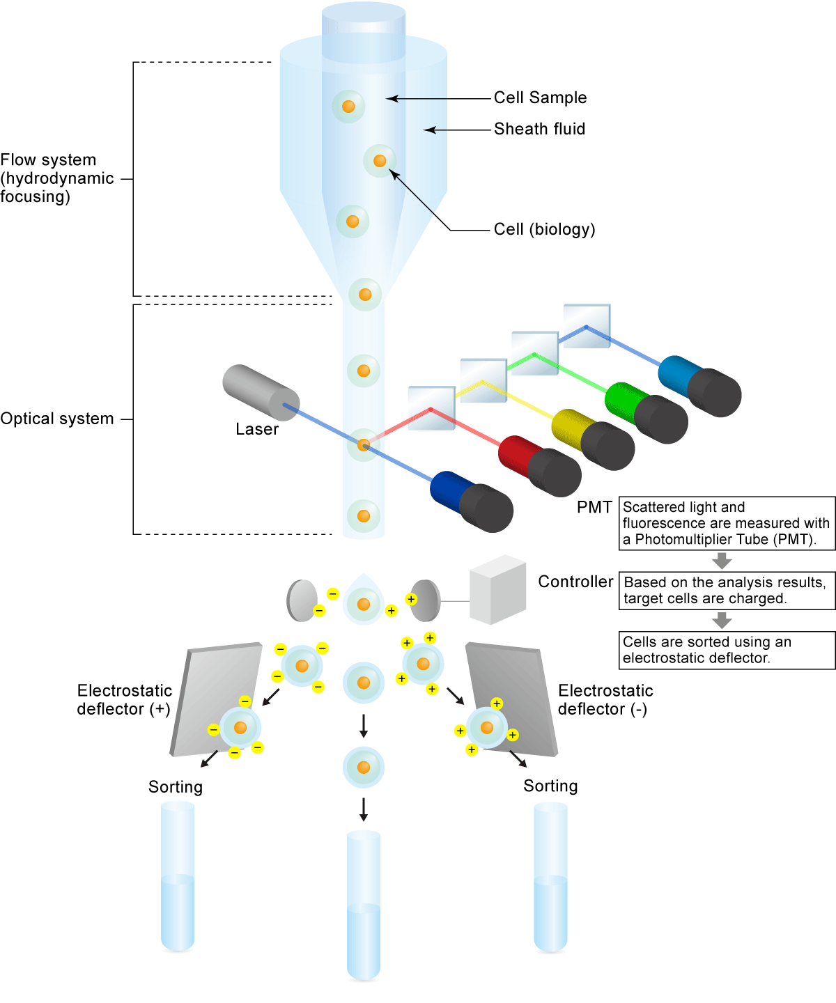 What is flow cytometry? | Tech | Matsusada Precision